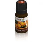 The Protein Packed Probiotic Smoothie That Your Kids Will LOVE! - The ...