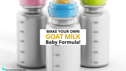 How To Make Goat Milk Baby Formula! - The Organic Goat Lady