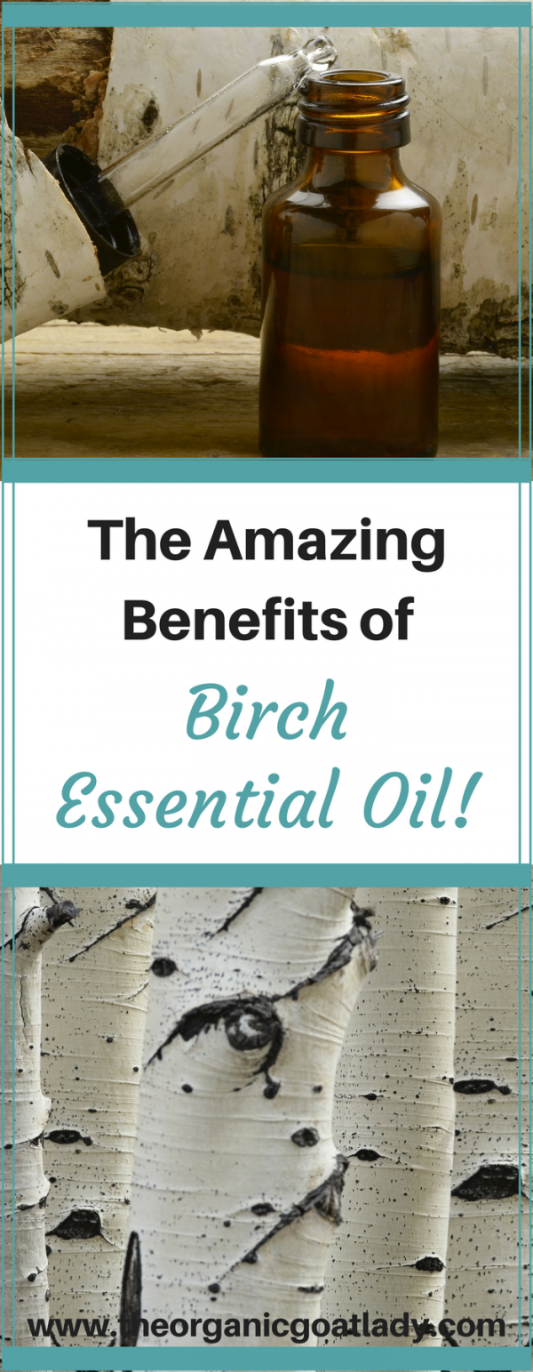 Why You Should Use Birch As Your July Essential Oil of The Month! - The ...
