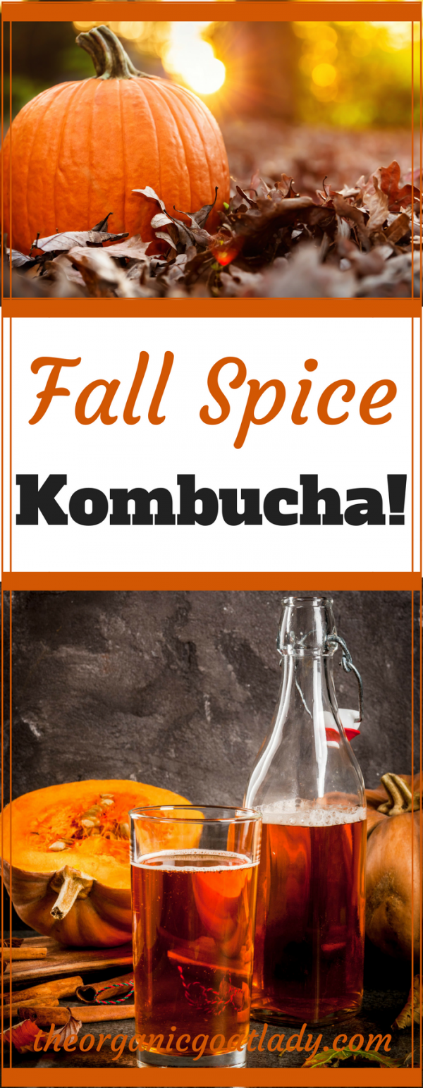 Fall Spice Kombucha Recipe! - The Organic Goat Lady