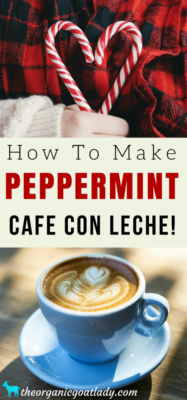 How To Make Peppermint Cafe Con Leche! - The Organic Goat Lady