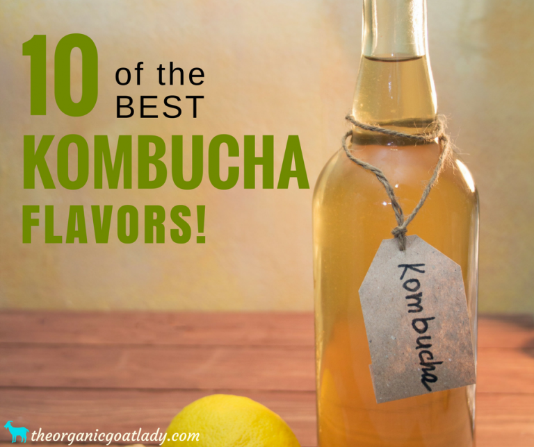 Holiday Spice Kombucha Recipe! - The Organic Goat Lady