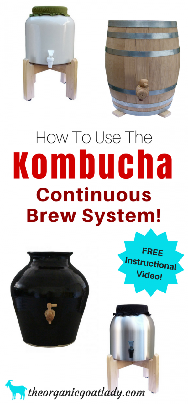 How To Make Continuous Brew Kombucha- FREE Instructional Video! - The Organic Goat Lady
