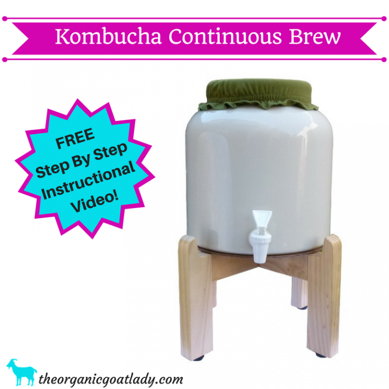 How To Make Continuous Brew Kombucha- FREE Instructional Video! - The Organic Goat Lady