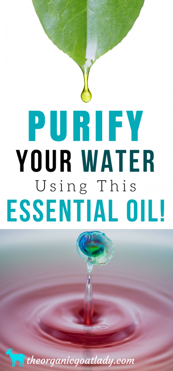 The Best Essential Oil Water Purifier! - The Organic Goat Lady