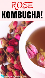 Rose Kombucha! - The Organic Goat Lady