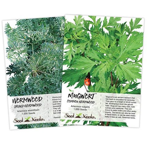 13 Herbs That Repel Rabbits - The Organic Goat Lady