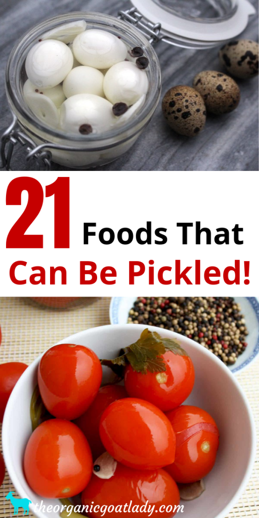 21 Pickled Foods Recipes - The Organic Goat Lady