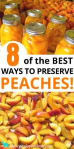 8 Ways to Preserve Peaches - The Organic Goat Lady