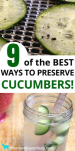 9 Ways to Preserve Cucumbers - The Organic Goat Lady