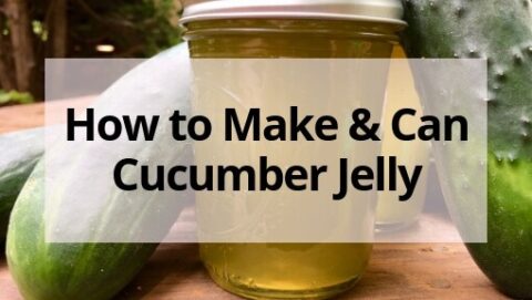 9 Ways to Preserve Cucumbers - The Organic Goat Lady