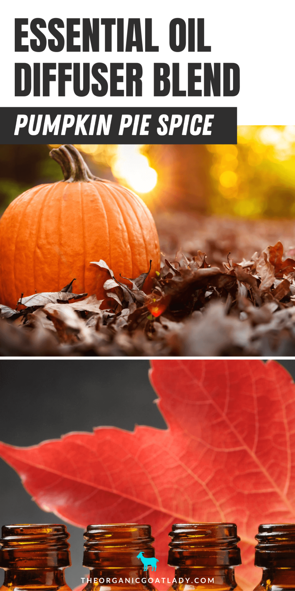 Pumpkin Pie Diffuser Blend - The Organic Goat Lady