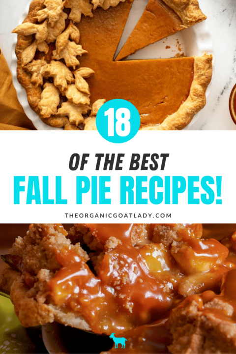 Best Fall Pie Recipes! - The Organic Goat Lady